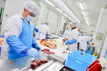 Could US meat processing plants learn from New Zealand standards?