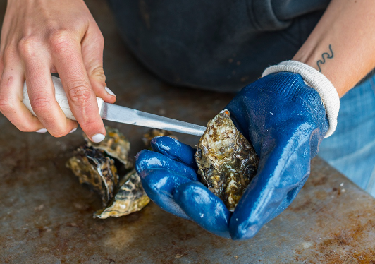 Oyster Shucking Gloves Sold How You Use Them - Separately